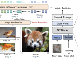 Native Resolution Image Synthesis