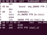 Shellcoding Linux X86 Analyzing 3rd Party Shellcode Assignment 5