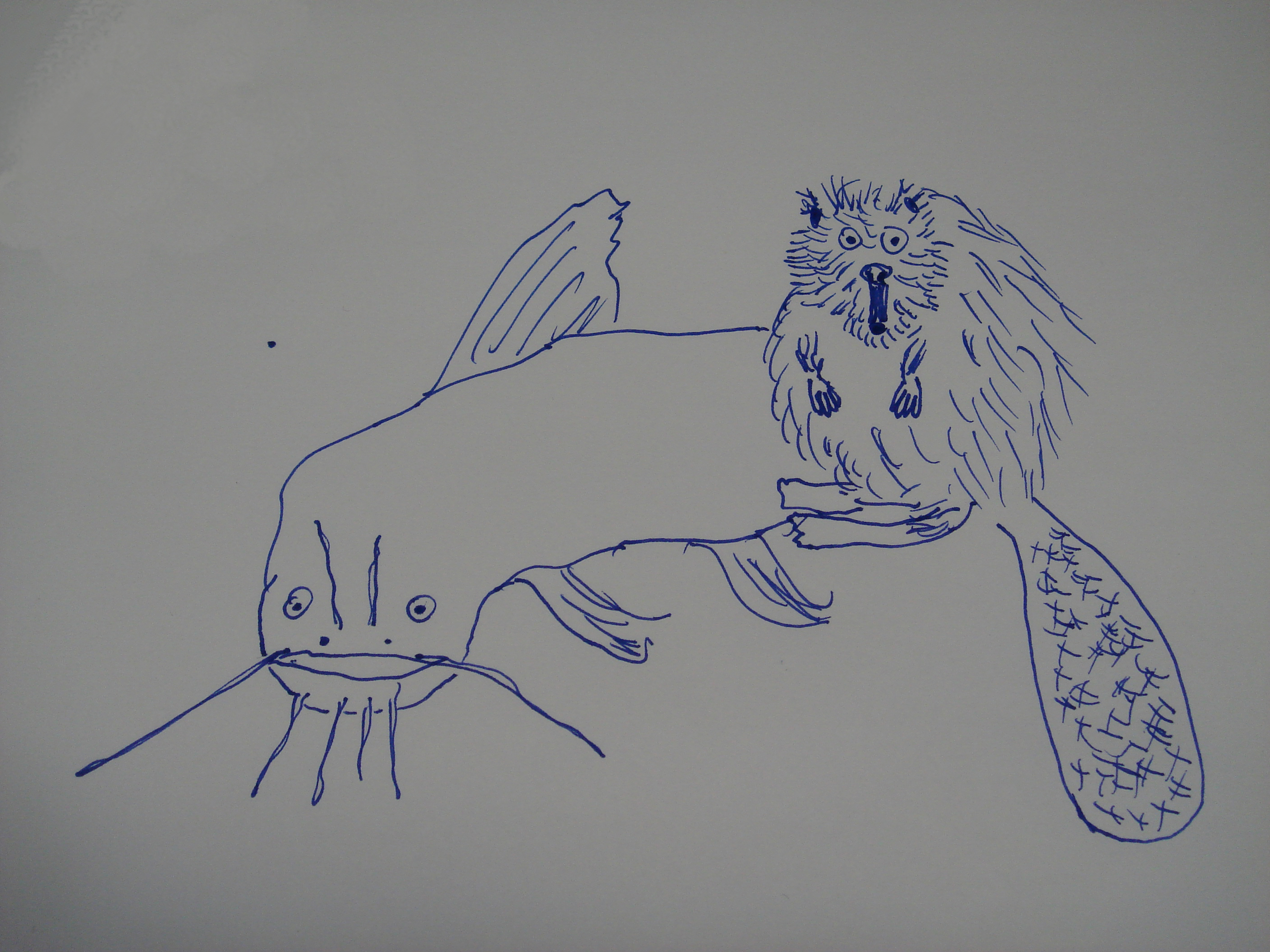 Beaver on Catfish | xenoslush