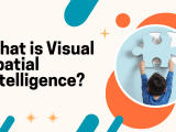 O Que é Inteligência Espacial Visual