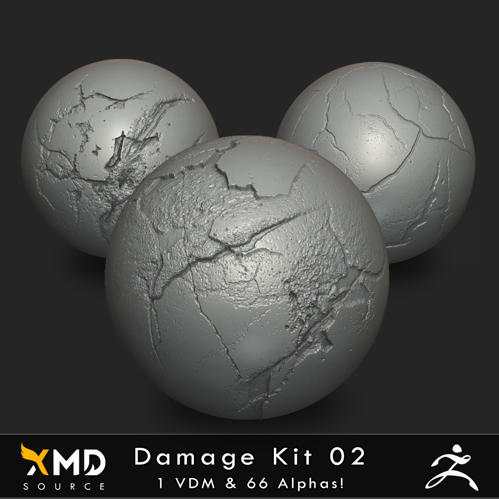 Source Store – Premium – XMD Source