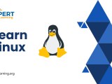 Linux The Productive Programmer S Best Friend Xpert Learning