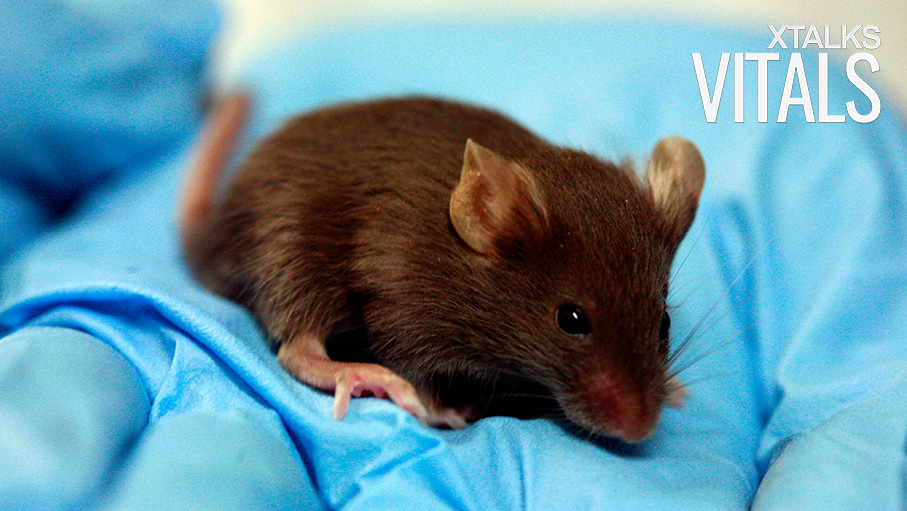 Lab-Grown Lungs Survive Transplant into Mice - Xtalks