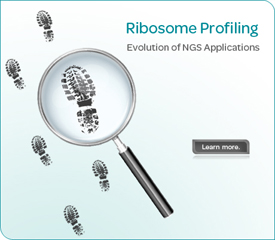 Monitoring Protein Synthesis One Codon at a Time Through Ribosome ...
