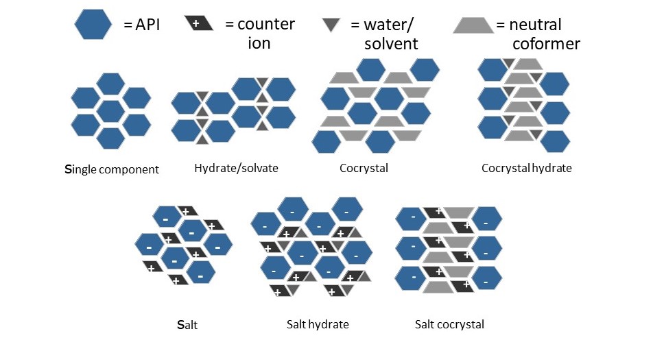 Drug Polymorphism: A Key Consideration for API Development - Xtalks