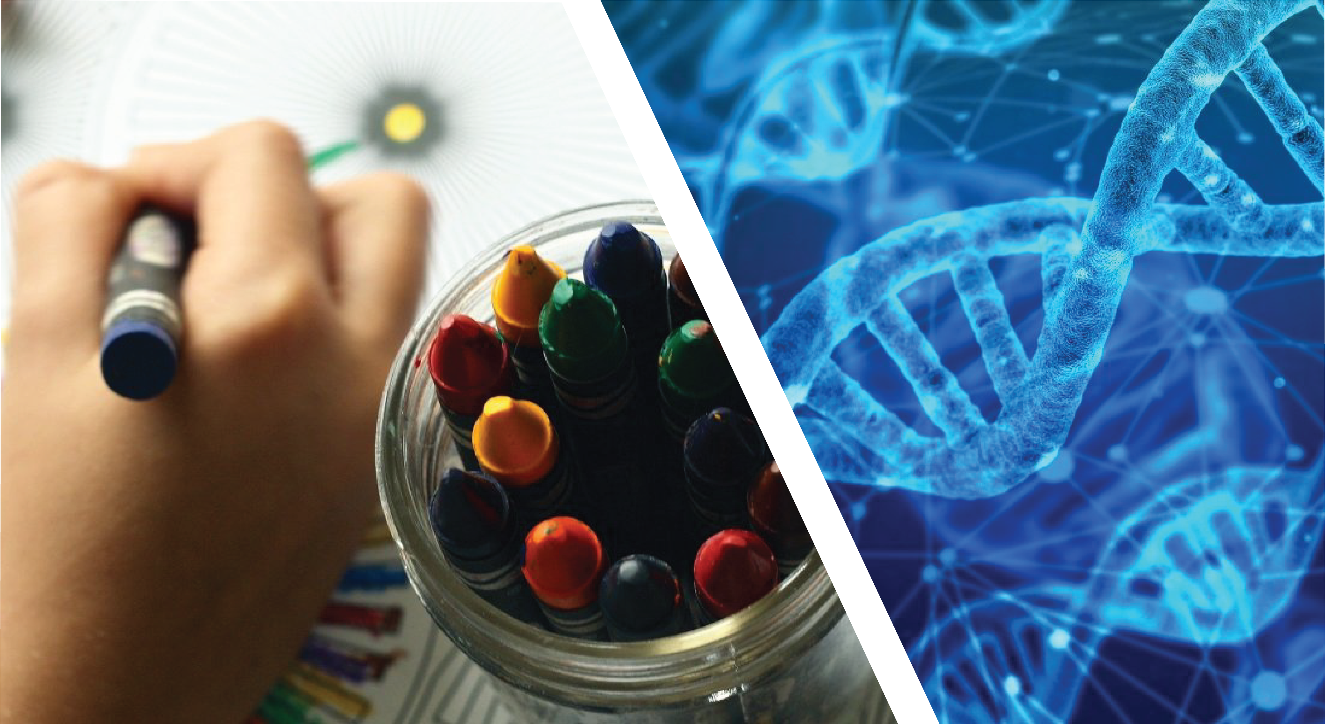 Epigenetic Editing with CRISPR + ADHD in Preschoolers – Xtalks Life ...