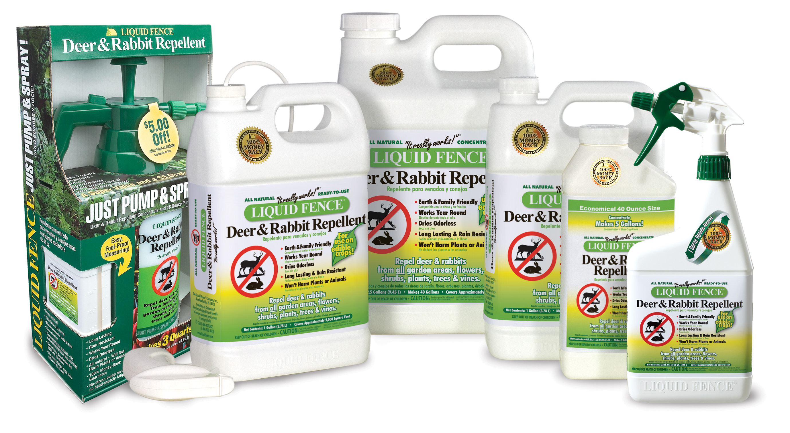 Controlling Rabbits – Everybody's Yard & Garden Guide