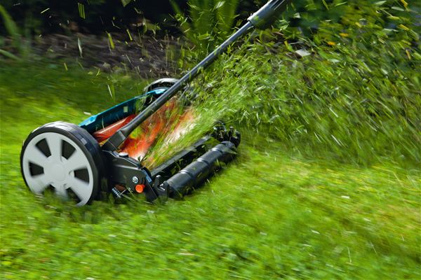 Bagging When Mowing, Yes or No? – Everybody's Yard & Garden Guide