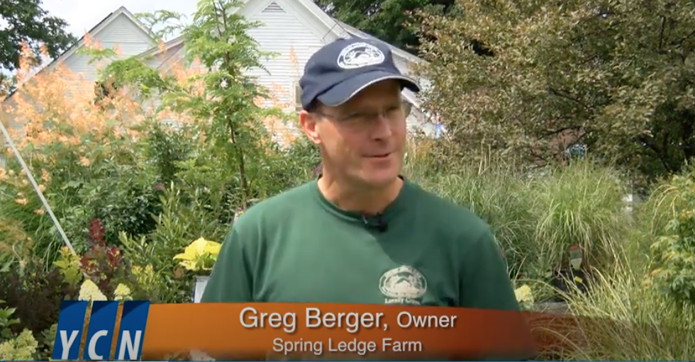 Greg Berger, Owner of Spring Ledge Farm in New London – YCN Now