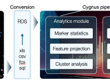 Cyber Gateway To Nanovesicles Underlying Signatures Cygnus