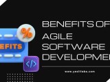 Navigating Success With Agile Software Development Yes It Labs Llc