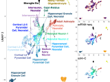 Single Cell Multi Omics Integration And Modeling