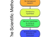 Science Scientific Method Steps Ygraph