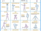 Stretching Exercise Chart Ygraph
