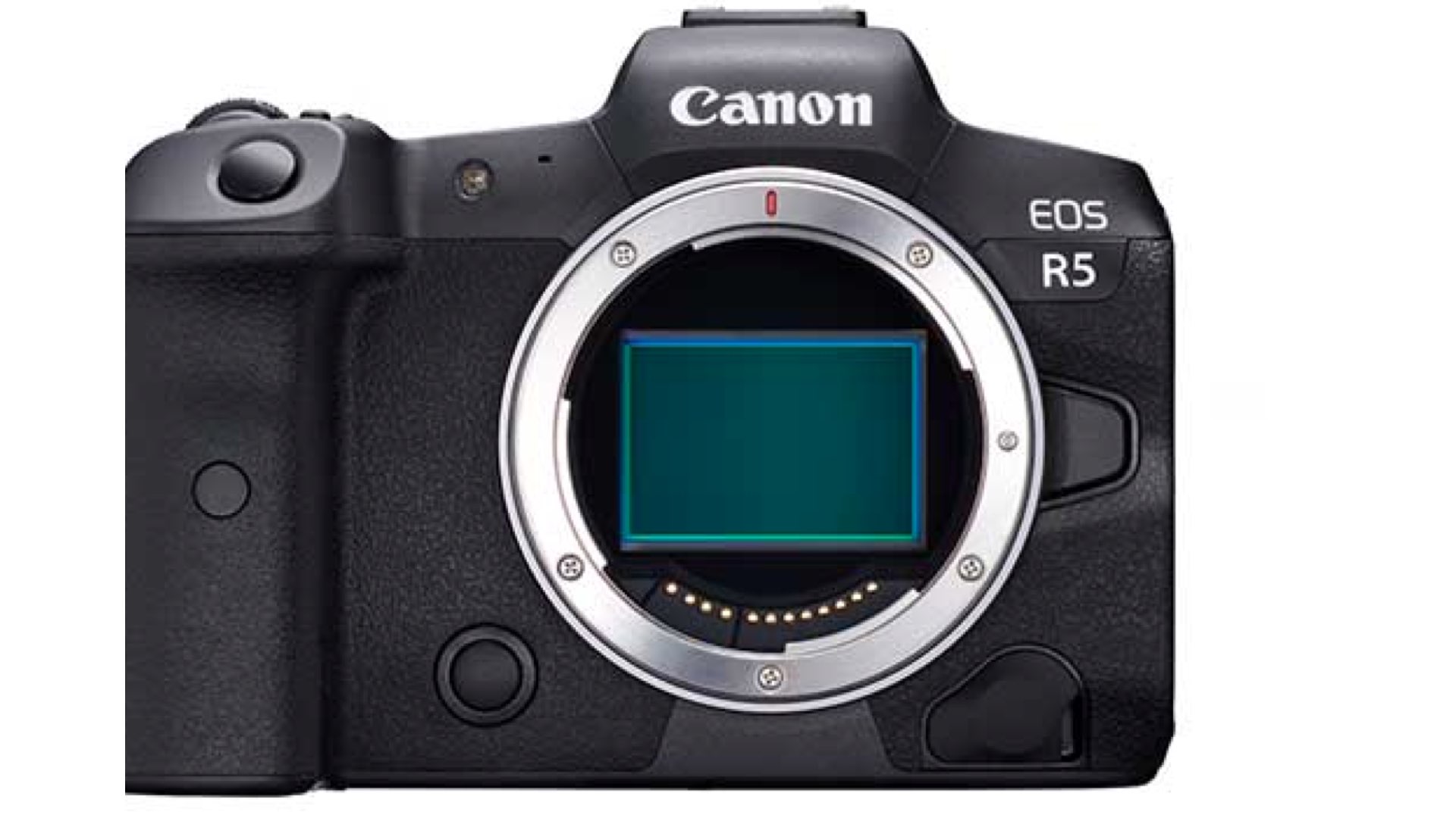 Canon EOS R5: Full Frame 8K Internally and Improved IBIS - YMCinema ...