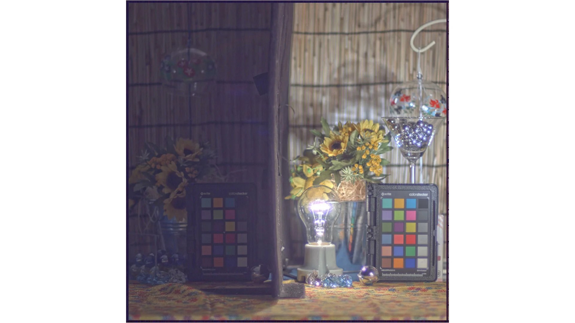 Nikon Indicates “Impressive” Z-Flagship (8K?) to be Launched in 2021 ...