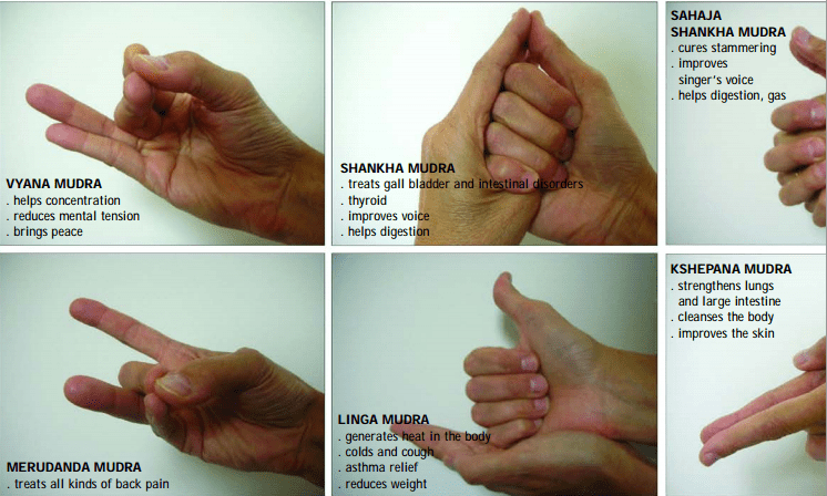 Power of Mudras | Yoga with V