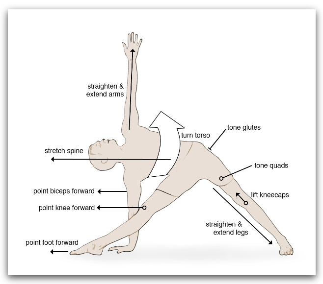 Review: Darren Rhodes' Yoga Resource Practice Manual ebook – The Yogini ...