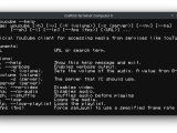 Cli Usage Youcube