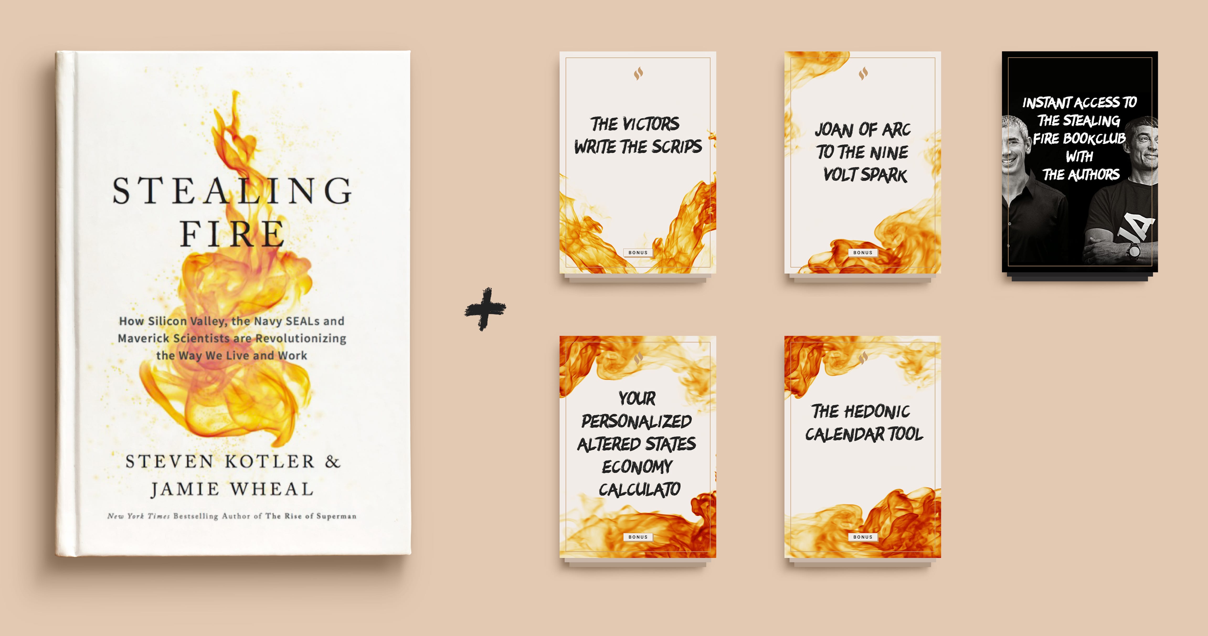 Stealing Fire Book Review | Revolutionizing the Way We Live and Work