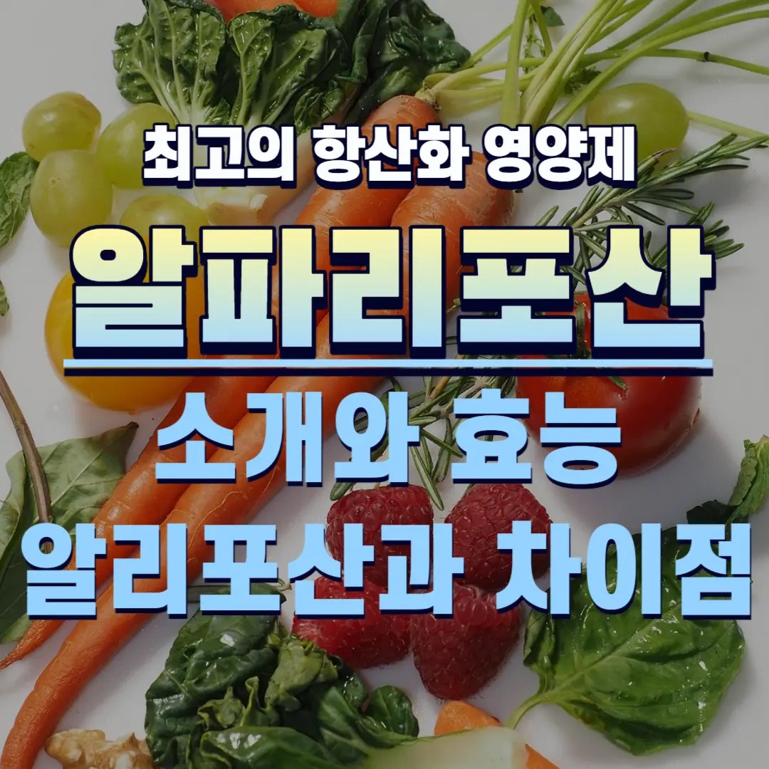 항산화 영양제 알파리포산의 소개와 효능 알리포산r 리포산과는 무슨 차이 Yozora Blog