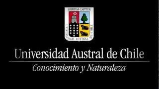 LOGO OFICIAL