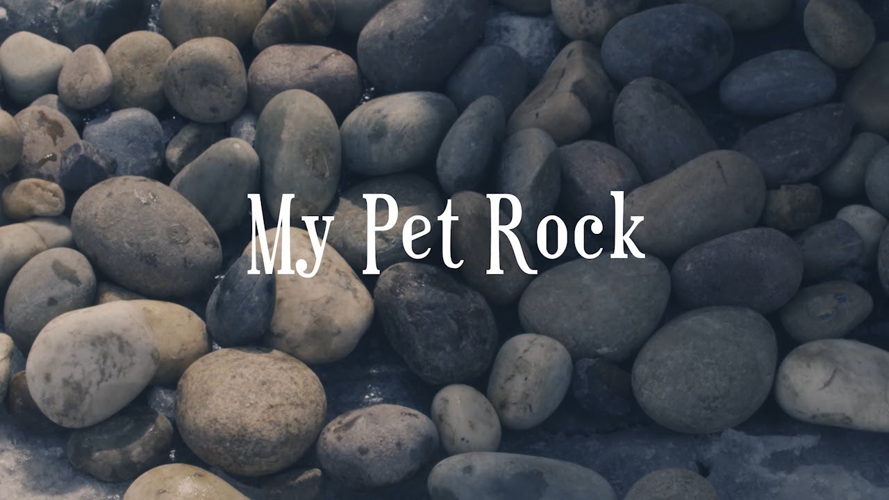 My Pet Rock 12 Hour Film Challenge Youtube
