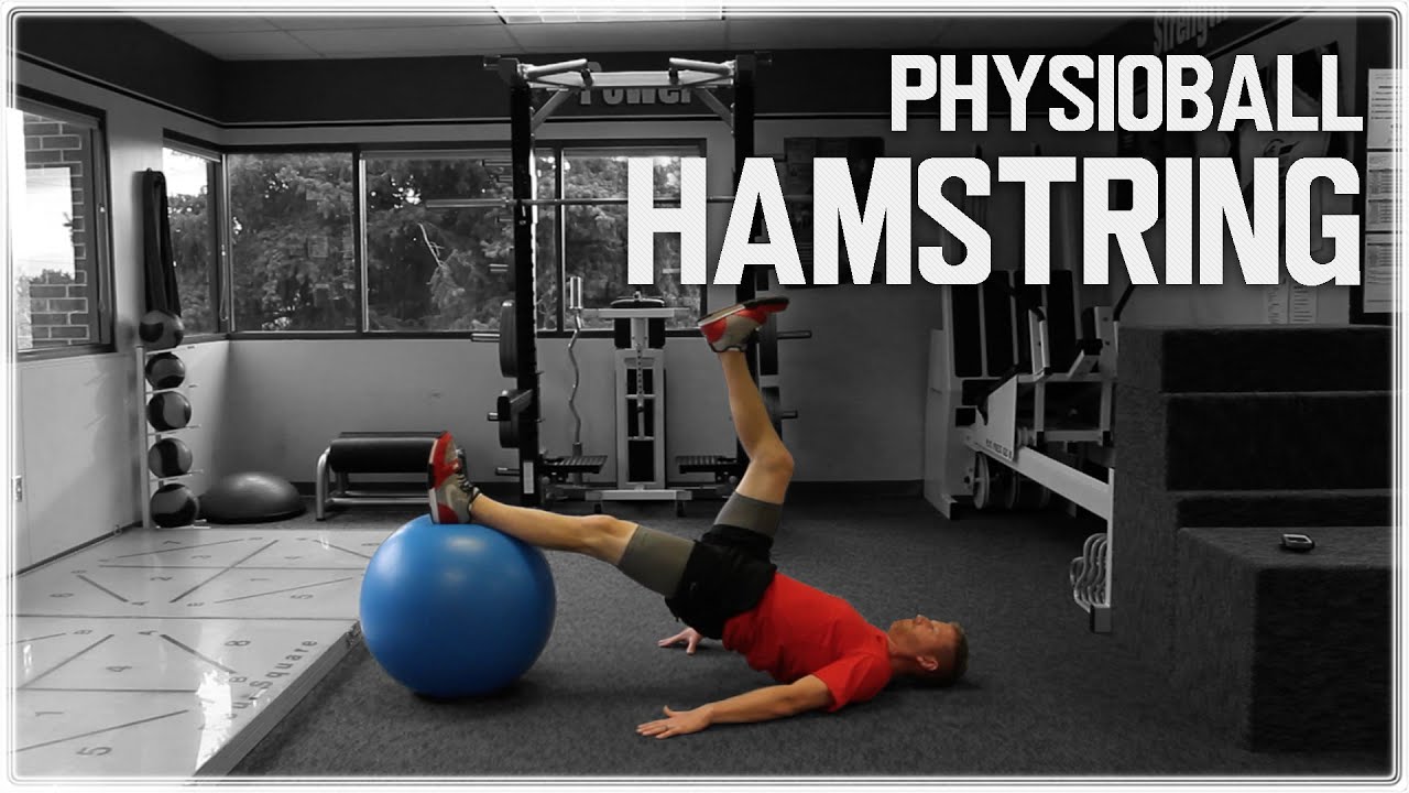 Stability Ball Hamstring Curl At James Oneill Blog