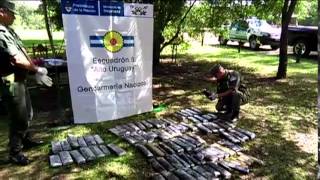 87 kg de marihuana en Misiones