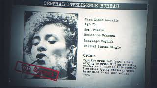Criminal Profile: After Effects template