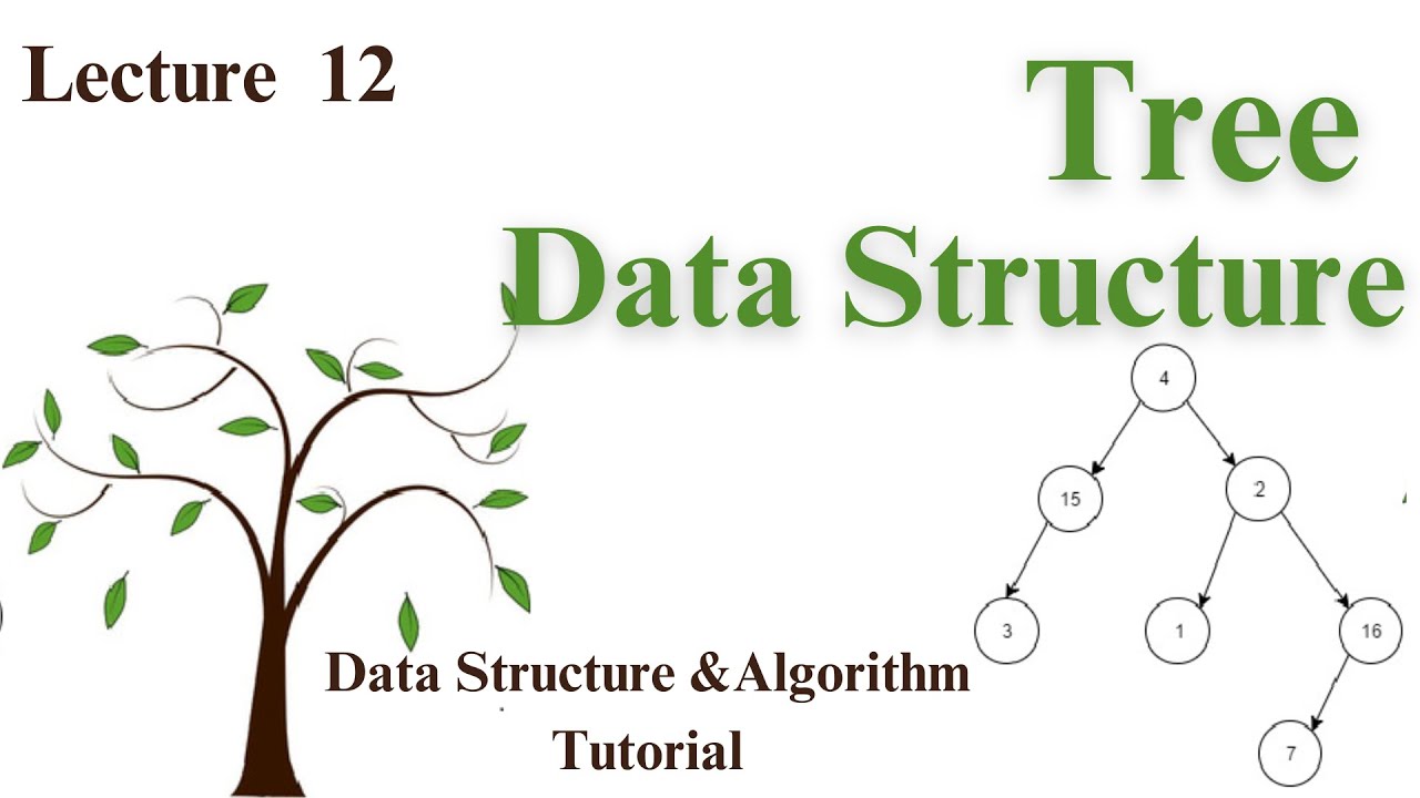 Introduction To Tree Data Structure Data Structure Algorithm In