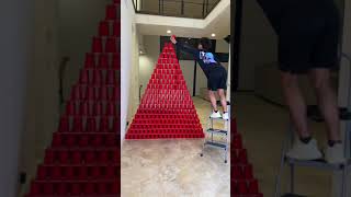 I BUILT THE WORLD'S TALLEST CUP TOWER #Shorts