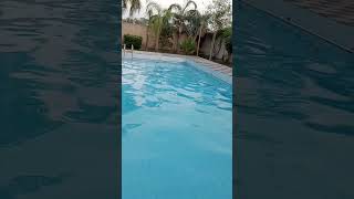 Summer Vibes|pool day|#shortsvideo #shortvideo #shorts #short #summervibes #poolparty #water