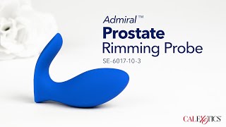 CalExotics Admiral™ Prostate Rimming Probe