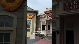 5 Disney World SECRETS we bet you didn't know about… #shorts