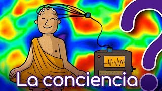 Why does CONSCIOUSNESS exist?