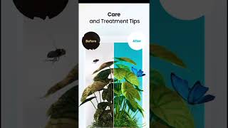 Plant app - plant identifier  #plants #youtubeshorts #google