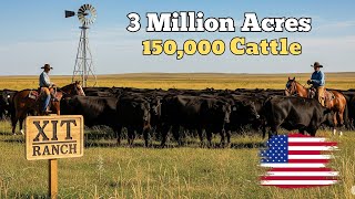 Inside America’s Largest XIT Ranch: From 3 Million Acres & 150,000 Cattle to Today’s Modern Revival
