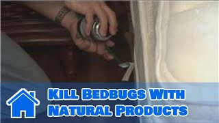 Home Pest Control : How to Kill Bedbugs With Natural Products
