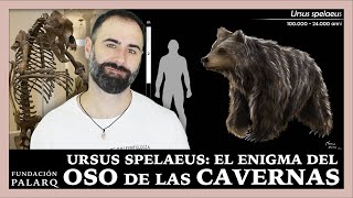 La Verdadera Historia del Oso de las Cavernas: Un Coloso de la Prehistoria