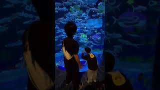 Episode 154 | #shortsfeed  #shortsviral  #shortvideo  #shorts  #short  #shortsvideo #shortsbeta