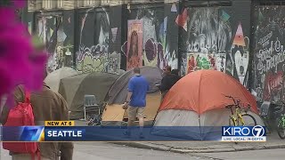 VIDEO: City develops idea to bus homeless out of Seattle