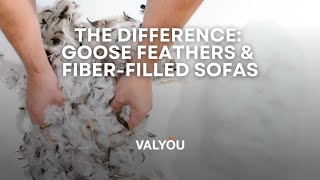 The Difference: Goose Feathers & Fiber-filled Sofas?