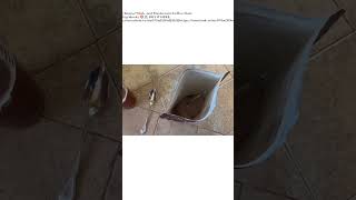 Magic Beans? Nah, Just Mushroom Coffee That Actually Works 🍄☕️ BUY IT HERE: