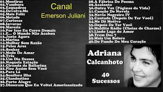 Adriana Calcanhoto , 40 Sucesso.