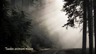 The Tallis Scholars - Requiem Officium Defunctorum (T.L. de Victoria (1548-1611))