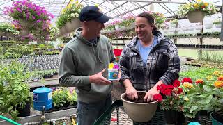 How to Make FULL Geranium Baskets + A NEW Plant We LOVE!