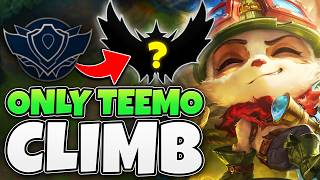League of Legends but I ONLY play Teemo (NEW RANKED CLIMB! #1)