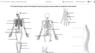 Assignment 1 Anatomy & Physiology Exam Walkthrough