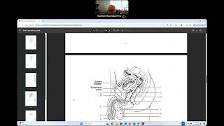CG BIO160 - Final Exam Study Guide Review